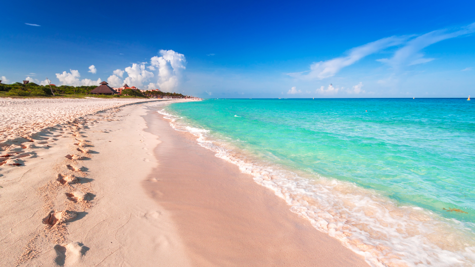 Top Caribbean Yacht Charters 2025–2026 Guide