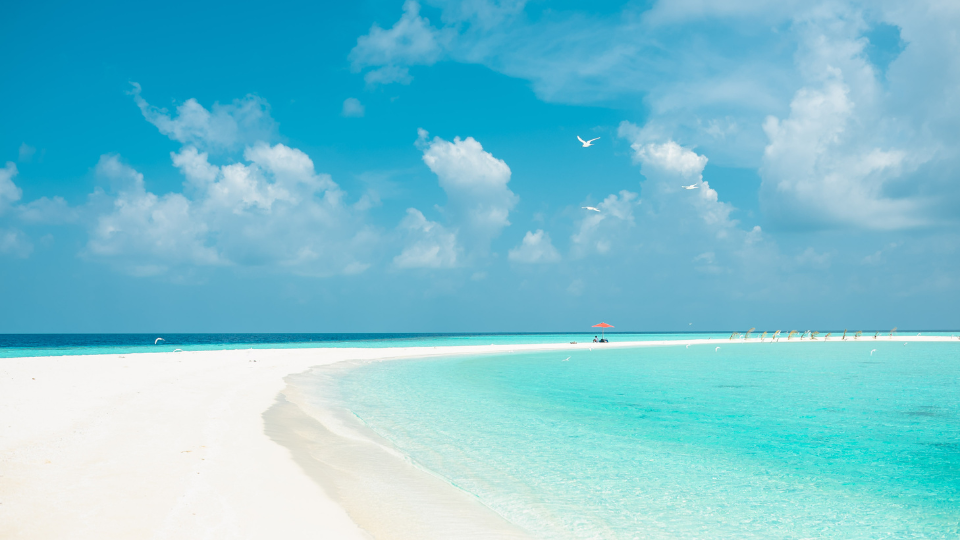 Top Caribbean Yacht Charters 2025–2026 Guide